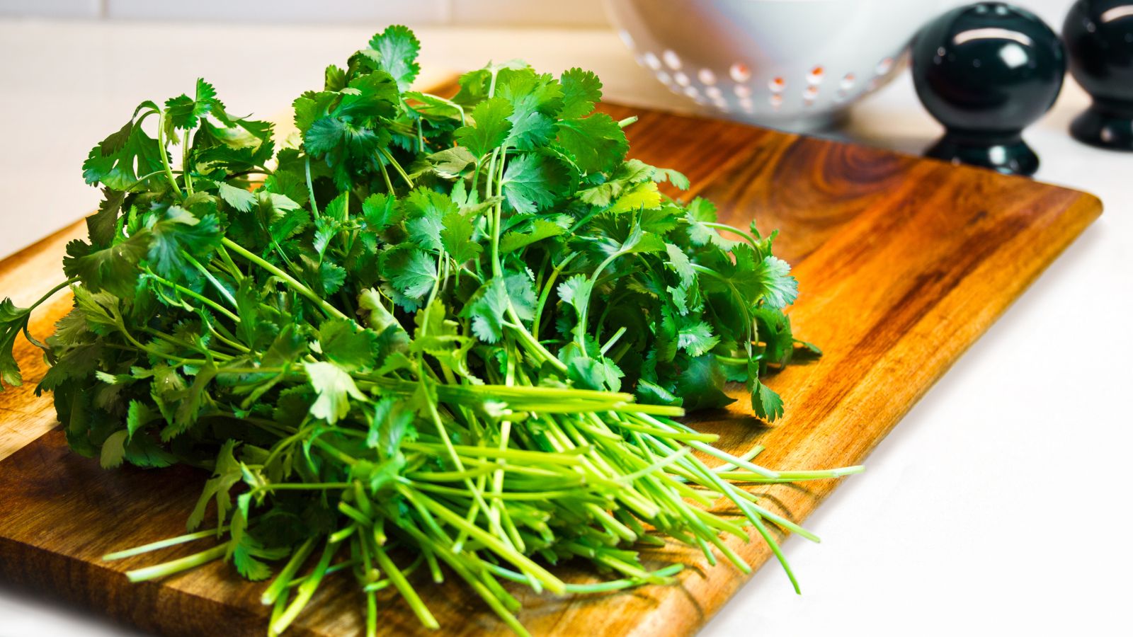Cilantro: Grow, maintain, harvest | Tayloe's Lawn Care Services