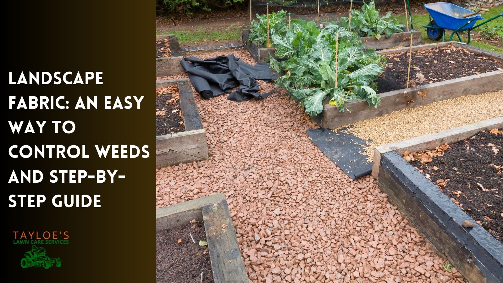 Landscape Fabric: Step-by-step guide to the best weed control