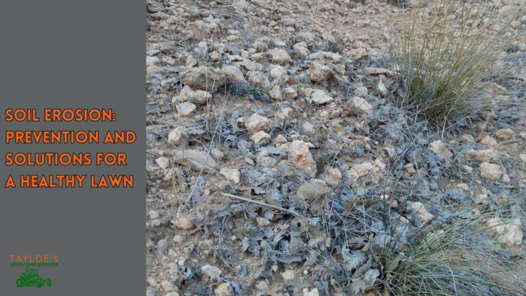 Soil Erosion: Diagnosing and Repair Guide | Tayloe's Lawn Care
