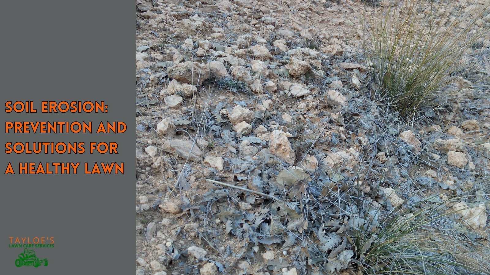 Soil Erosion: Diagnosing and Repair Guide | Tayloe's Lawn Care