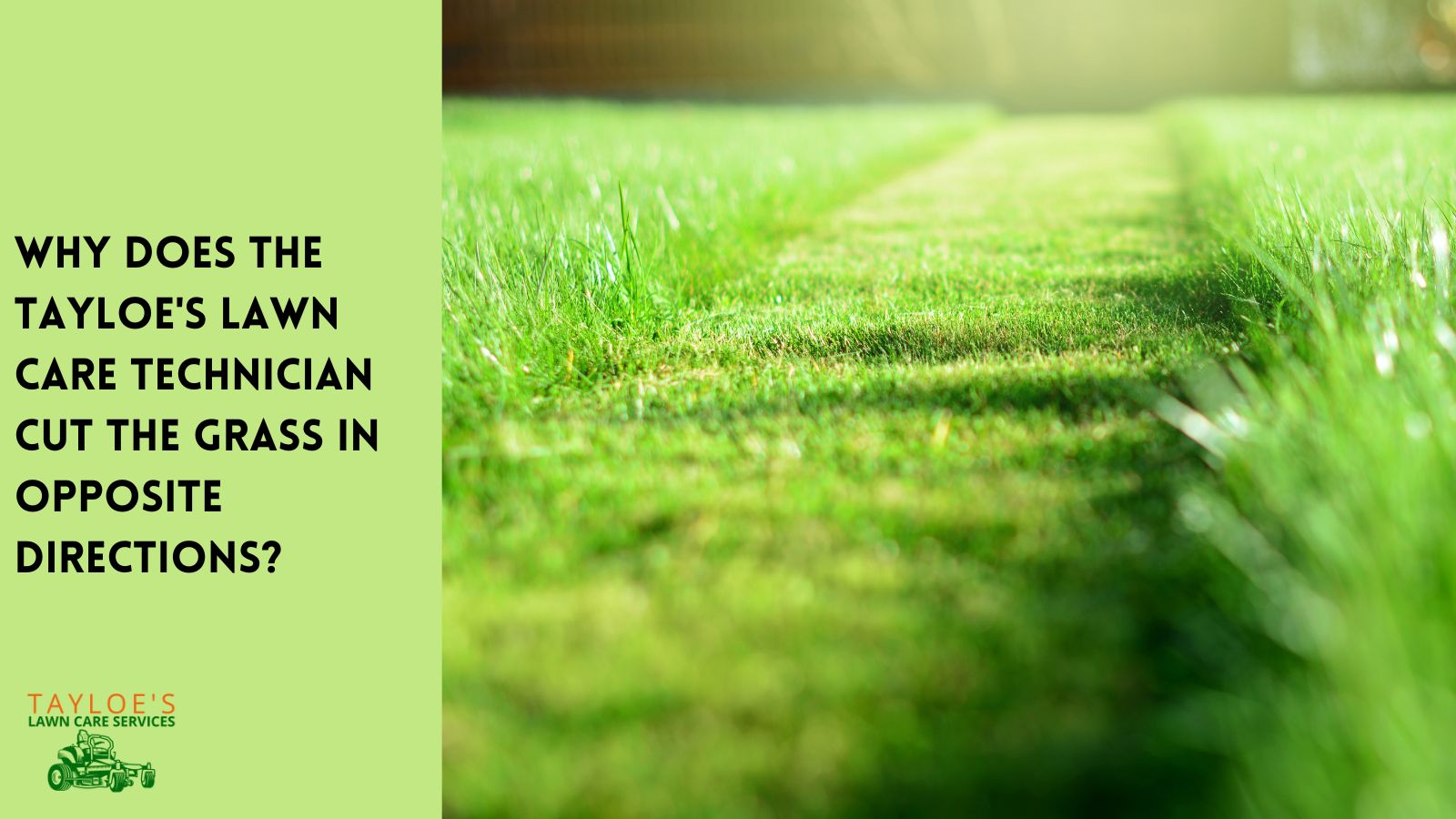 Cut the grass in opposite directions? Here's why our pros do that.