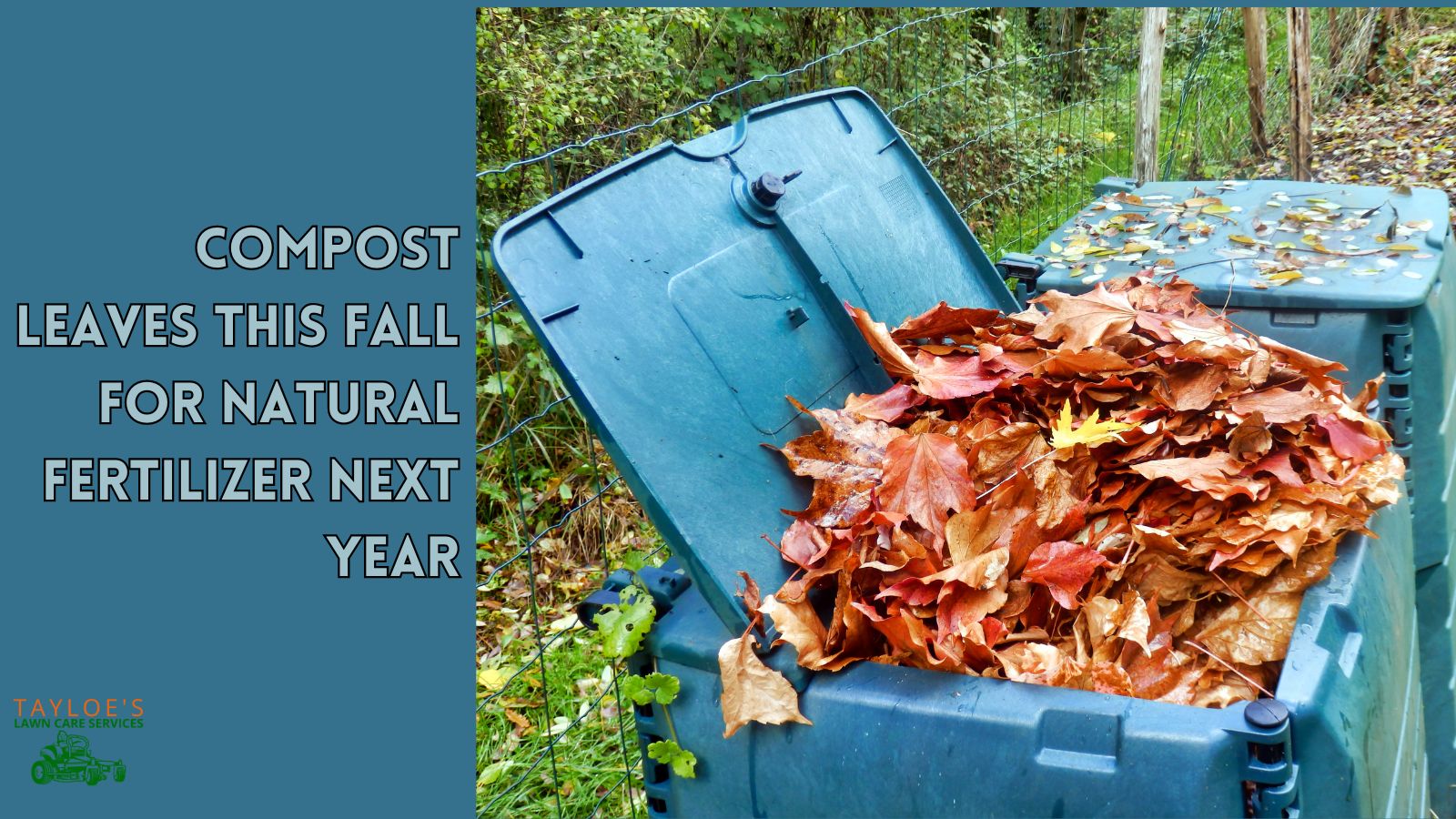 Compost leaves this fall for natural fertilizer next year - Tayloe's ...