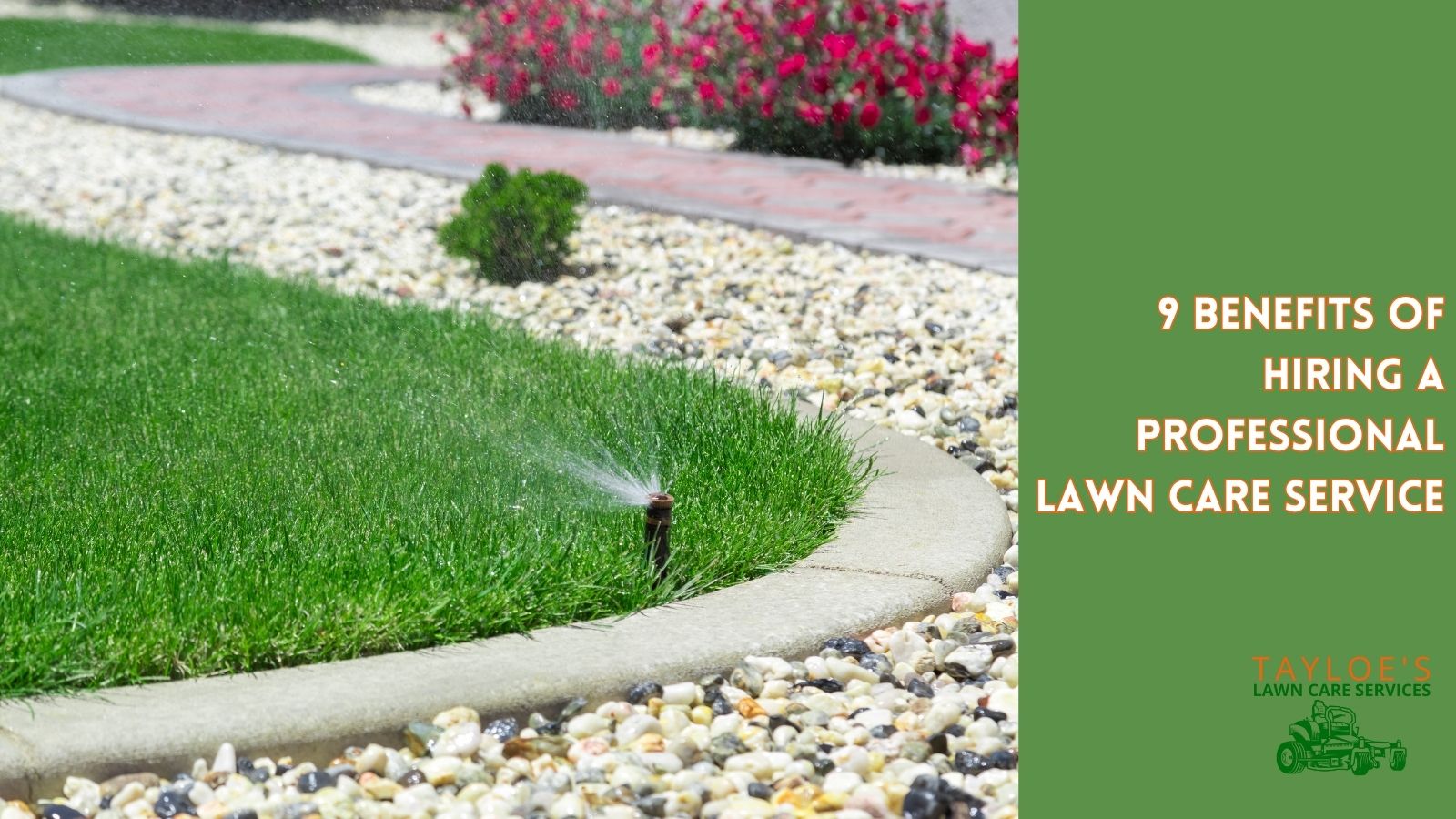 Professional lawn care services offer these 9 benefits - Tayloe's Lawn ...