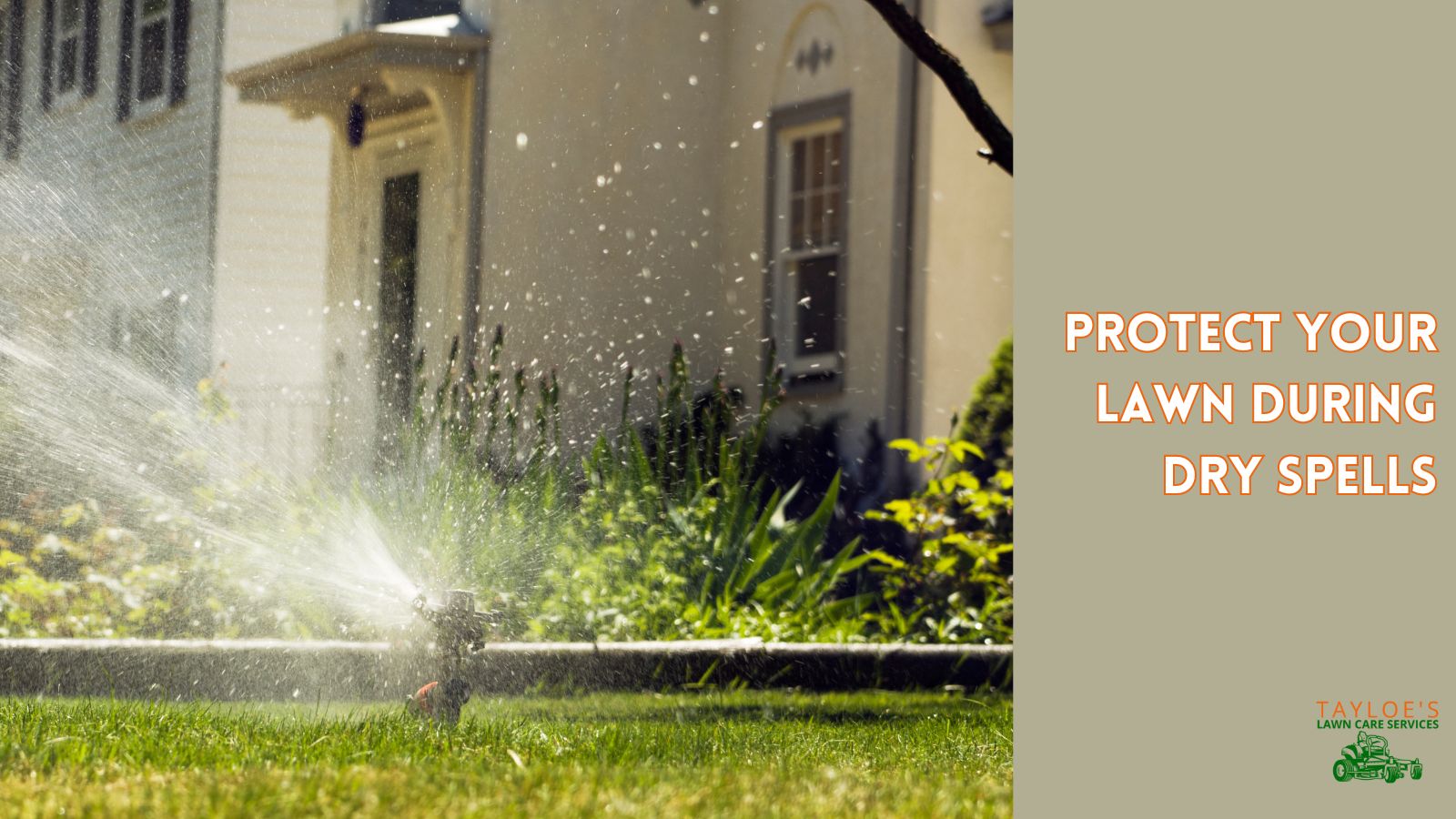 Dry spells can damage your lawn - follow these protective tips - Tayloe ...