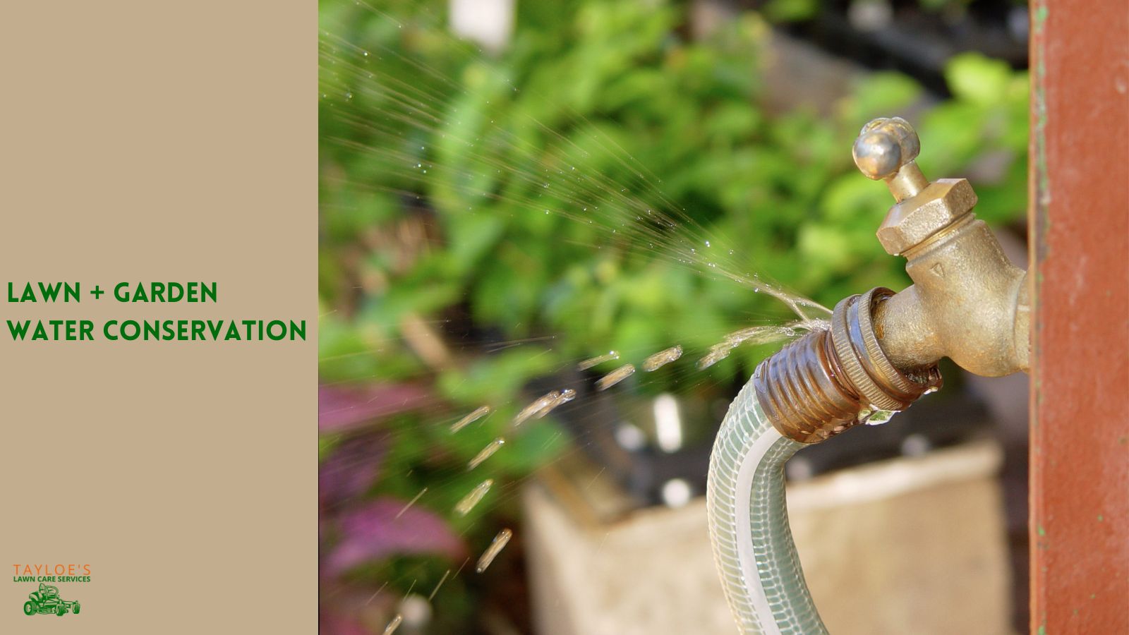 Water conservations tips for the lawn and garden - Tayloe's Lawn Care ...