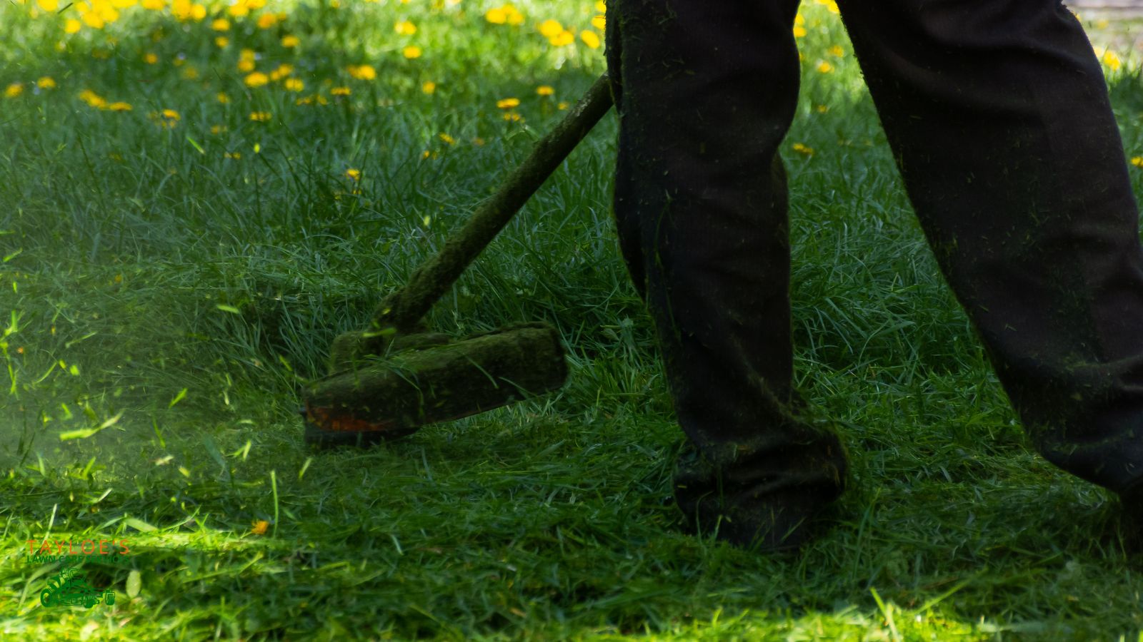 One-time mowing services are the costliest option (here's why) - Tayloe ...