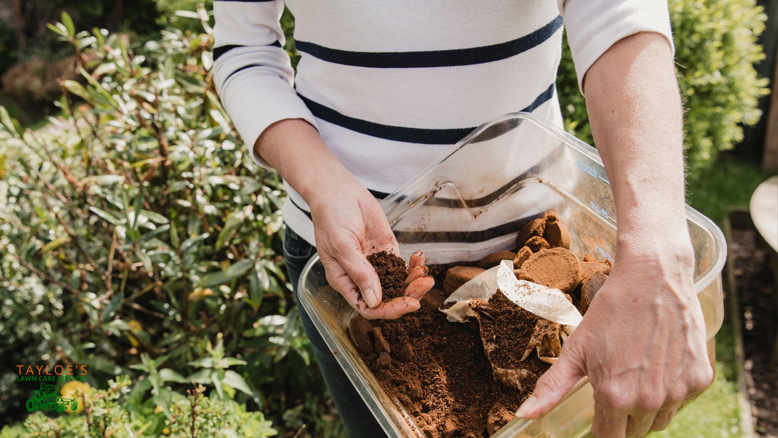 Coffee grounds composting best practices | Tayloe's Lawn Care
