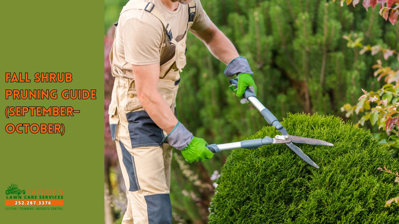 Fall Shrub Pruning Guide (September–October) - Tayloe's Lawn Care ...